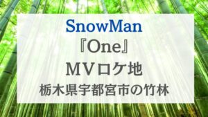 SnowMan『One』MVロケ地の竹林はどこ？各シーン撮影場所は栃木県宇都宮市！聖地巡礼